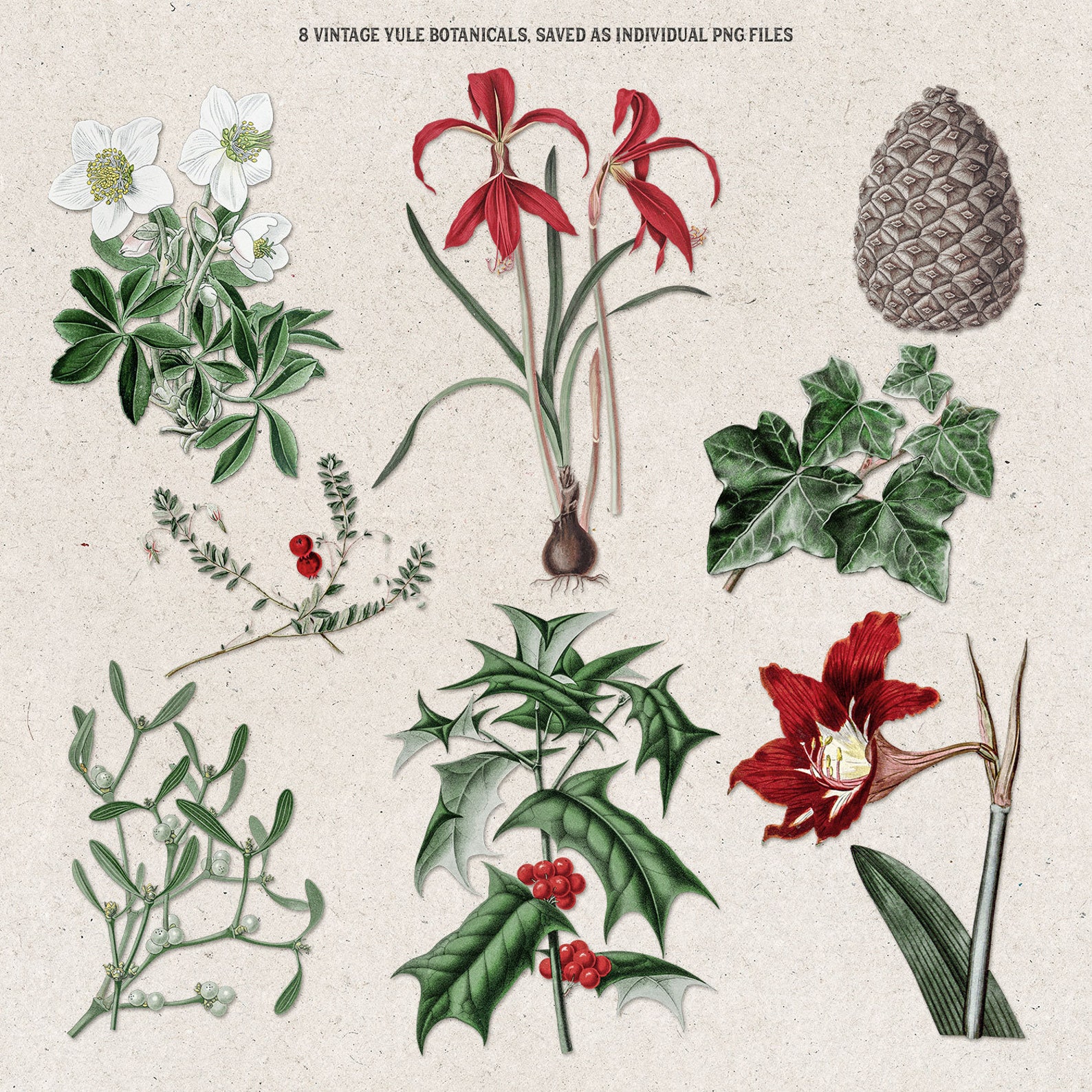 Yule Wheel of the Year Printable Vintage Floral PNG Clipart - Etsy