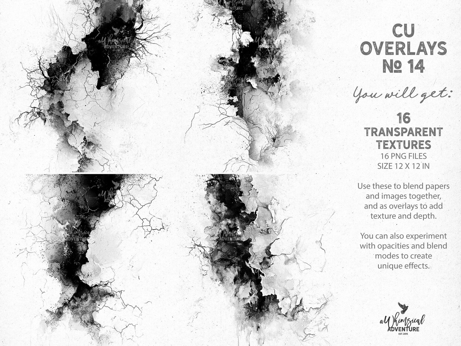 Transparent Organic Fracture Overlays PNG Files Scrapbook Designer ...