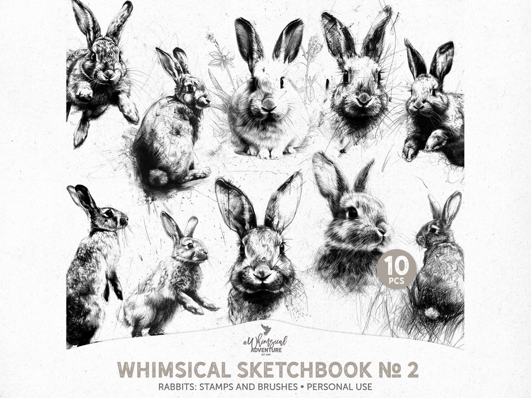 Charcoal Rabbit Sketch Book Drawings for Easter Scrapbooking or Wall ...