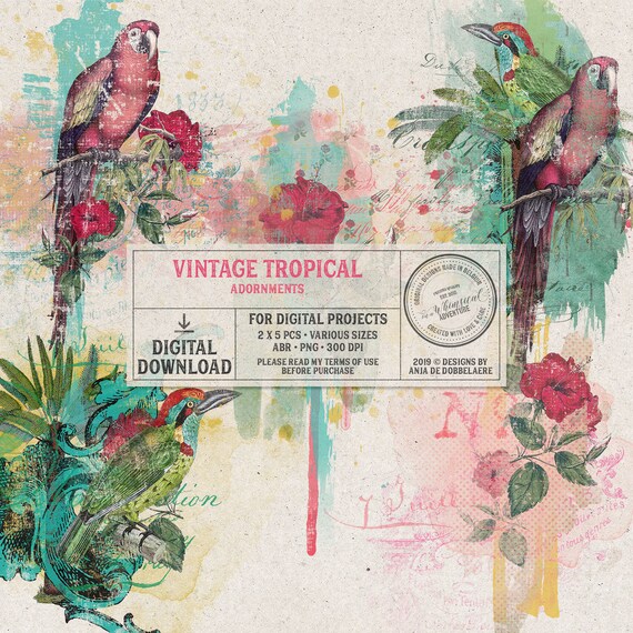 Scrapbook Paper Bird Art Project