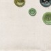 Green Buttons, Digital Scrapbooking Elements, Commercial Use OK ...