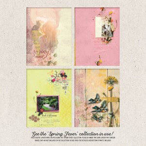 Colorful Card Stock, Spring Pack Paper, Instant Download, Digital Paper ...