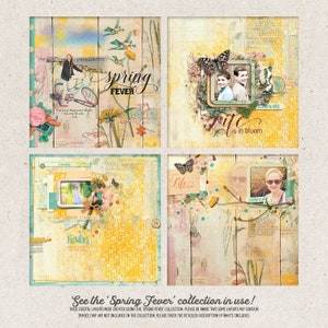 Colorful Card Stock, Spring Pack Paper, Instant Download, Digital Paper ...