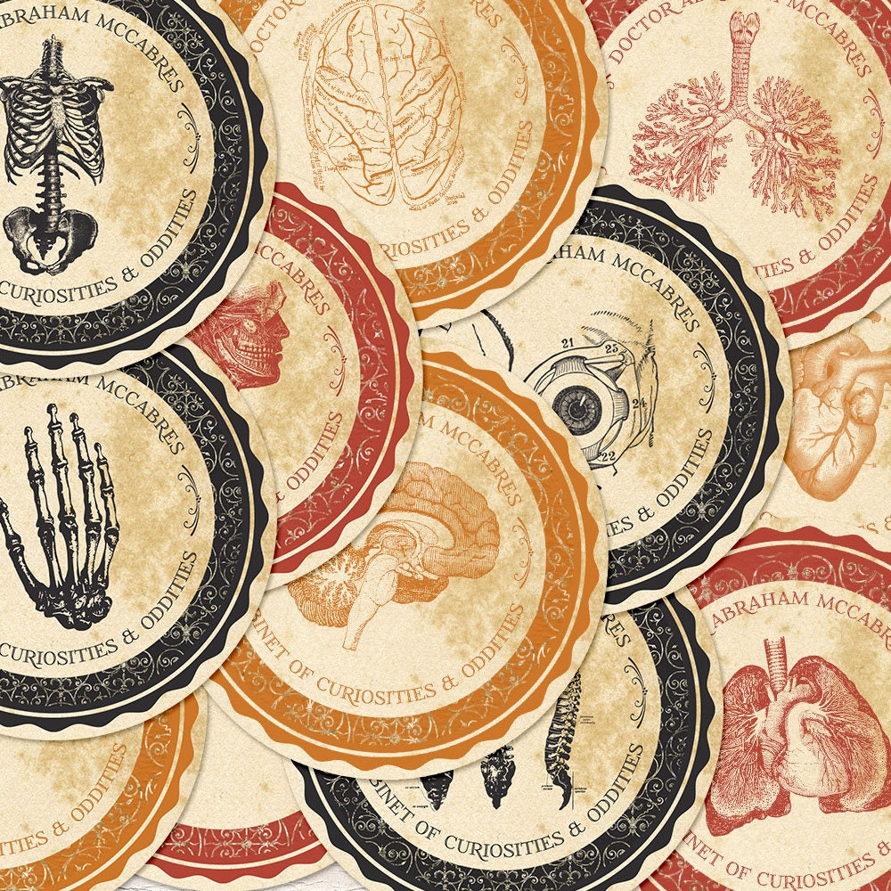 Spooky Halloween Party Decor Anatomical Cabinet Of | Etsy