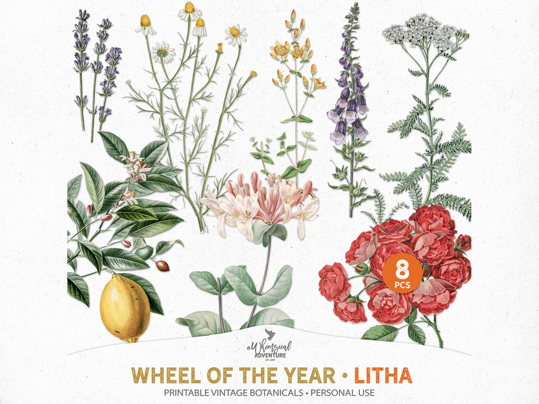 Litha Printable Vintage Flowers, Antique Botanical Illustration, Junk ...