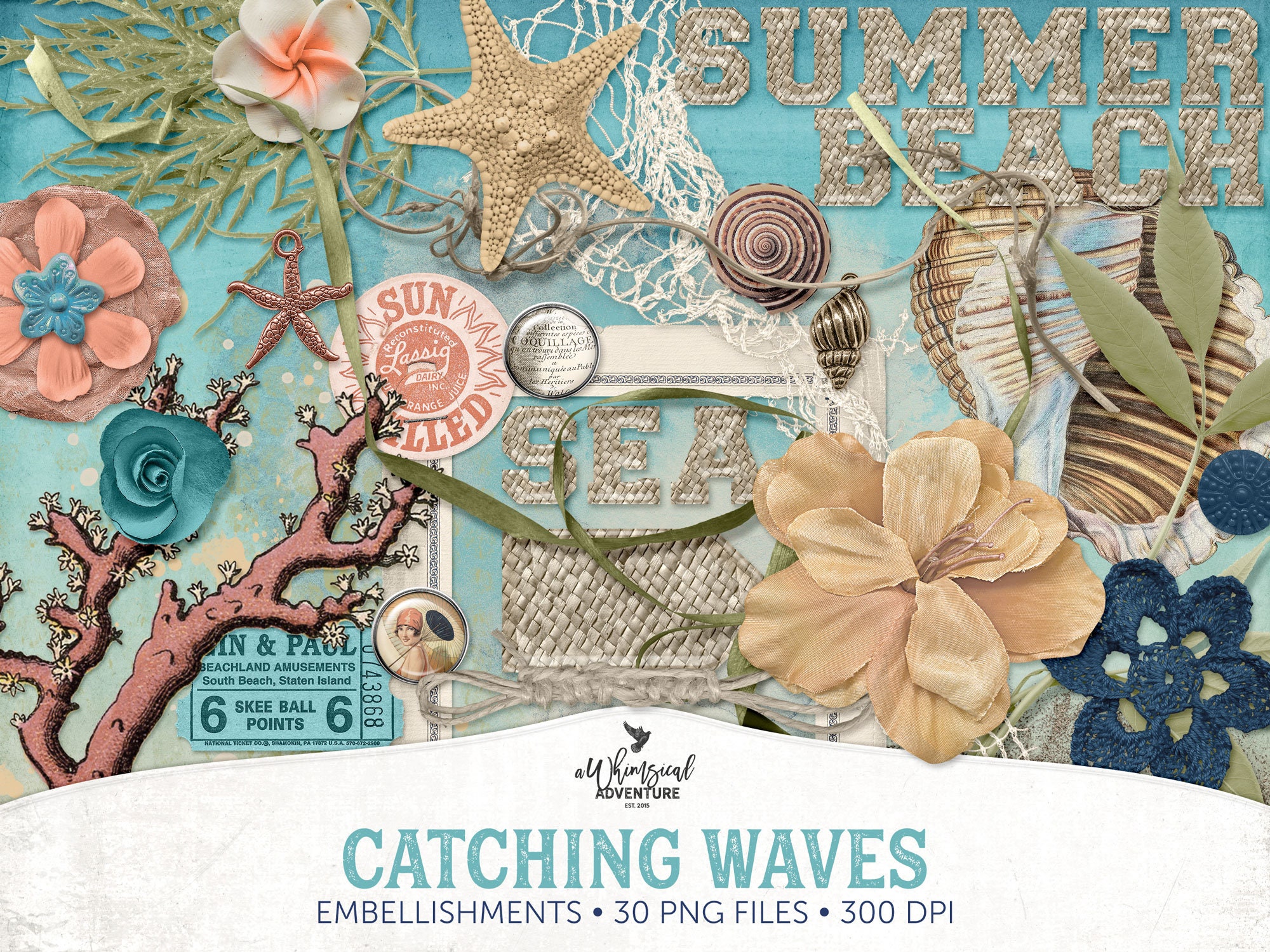 Sea Shells Best Value Bundle Beach Wedding Beach Lover - Etsy