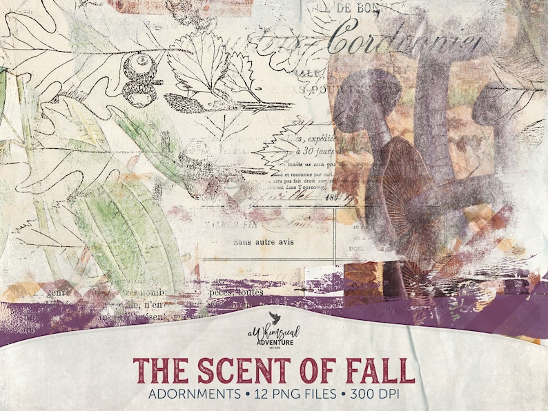 Autumn Clip Art Fall Digital Scrapbook Instant Download - Etsy