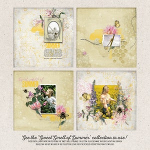 Pink and Yellow, Summer Clip Art, Clipart for Scrapbooking, Vintage ...