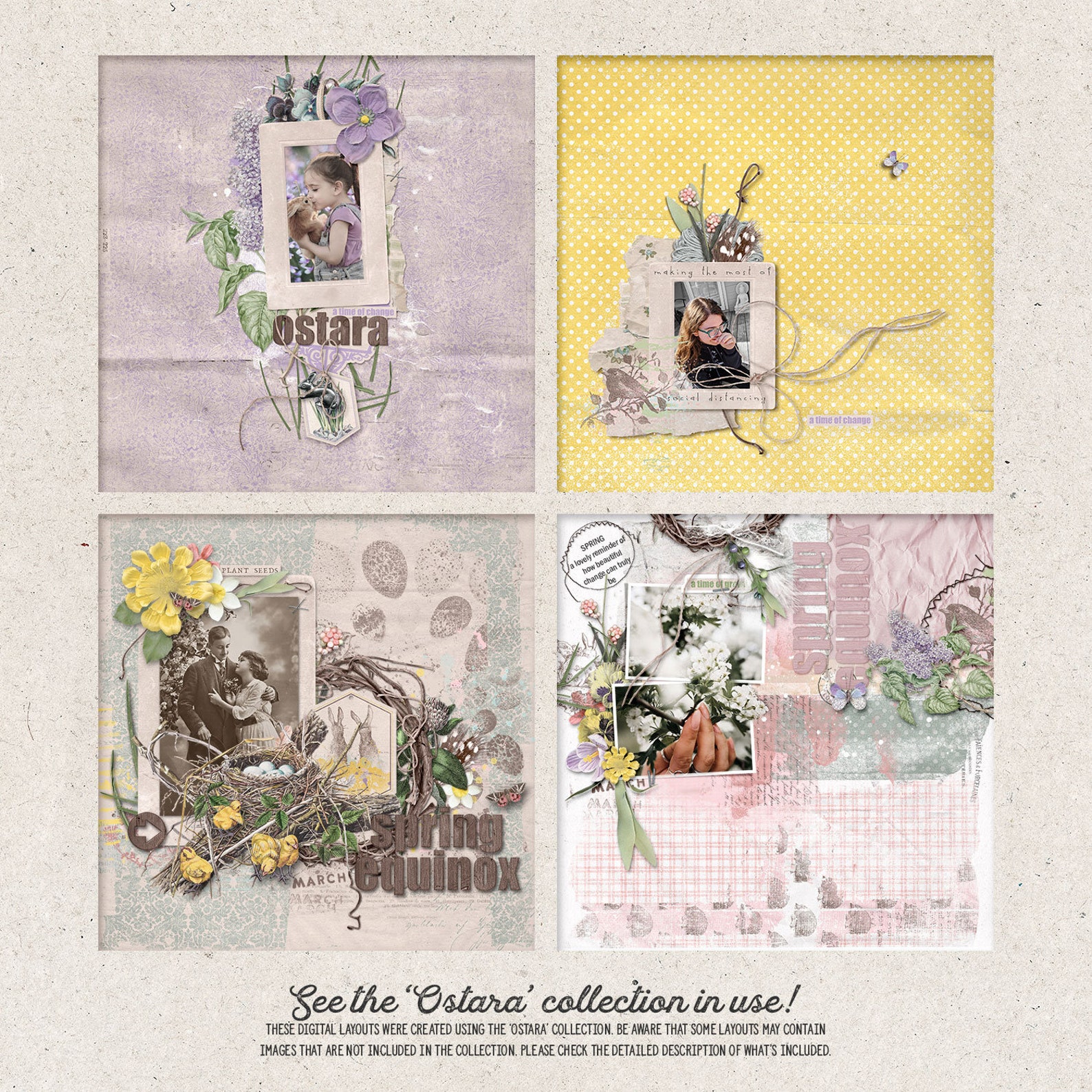 Ostara Scrapbook Paper, Shabby Chic Textures, Hares and Rabbits ...