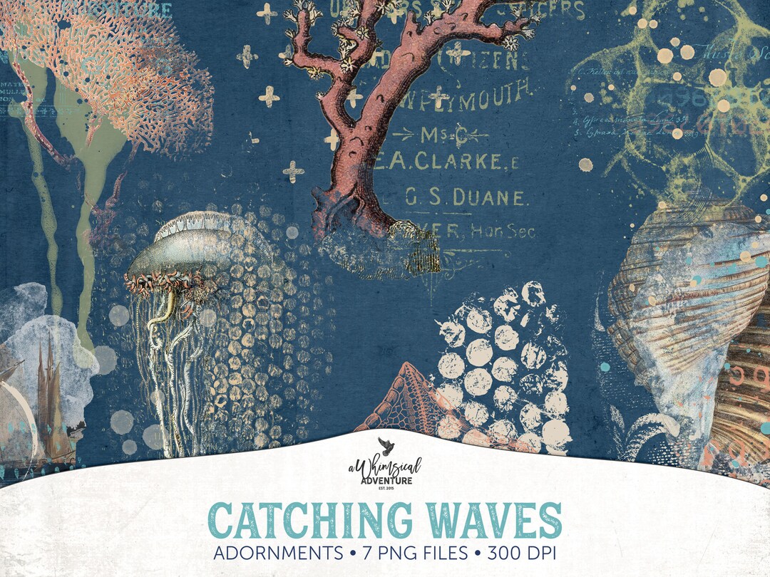 Jellyfish Under the Sea Nautical Clipart Beach Vacation - Etsy