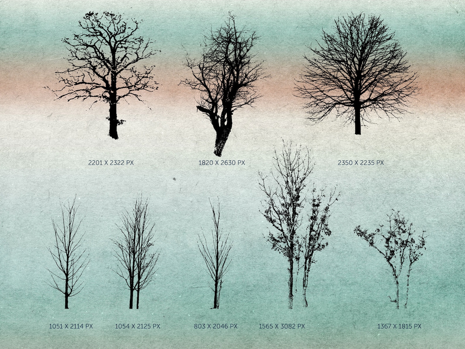Tree Digital Stamps Photoshop Brushes Winter Trees Stamps - Etsy