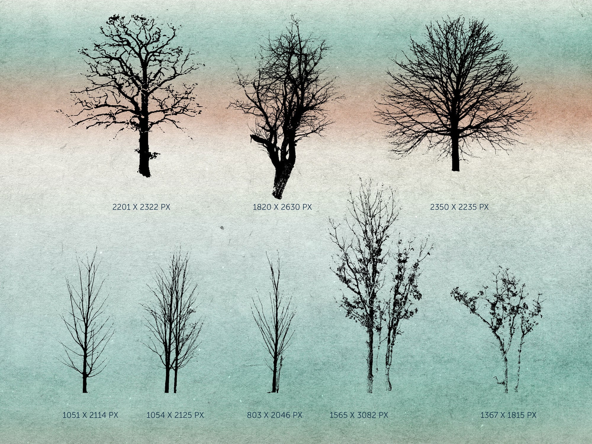 Tree Digital Stamps Photoshop Brushes Winter Trees Stamps - Etsy