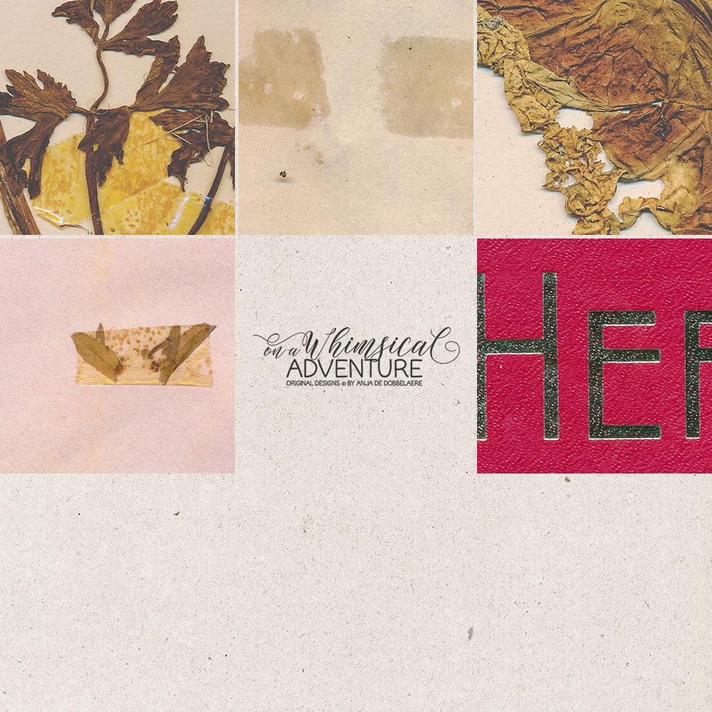 Pressed Plants Herbarium Album Dried Flowers Digital - Etsy