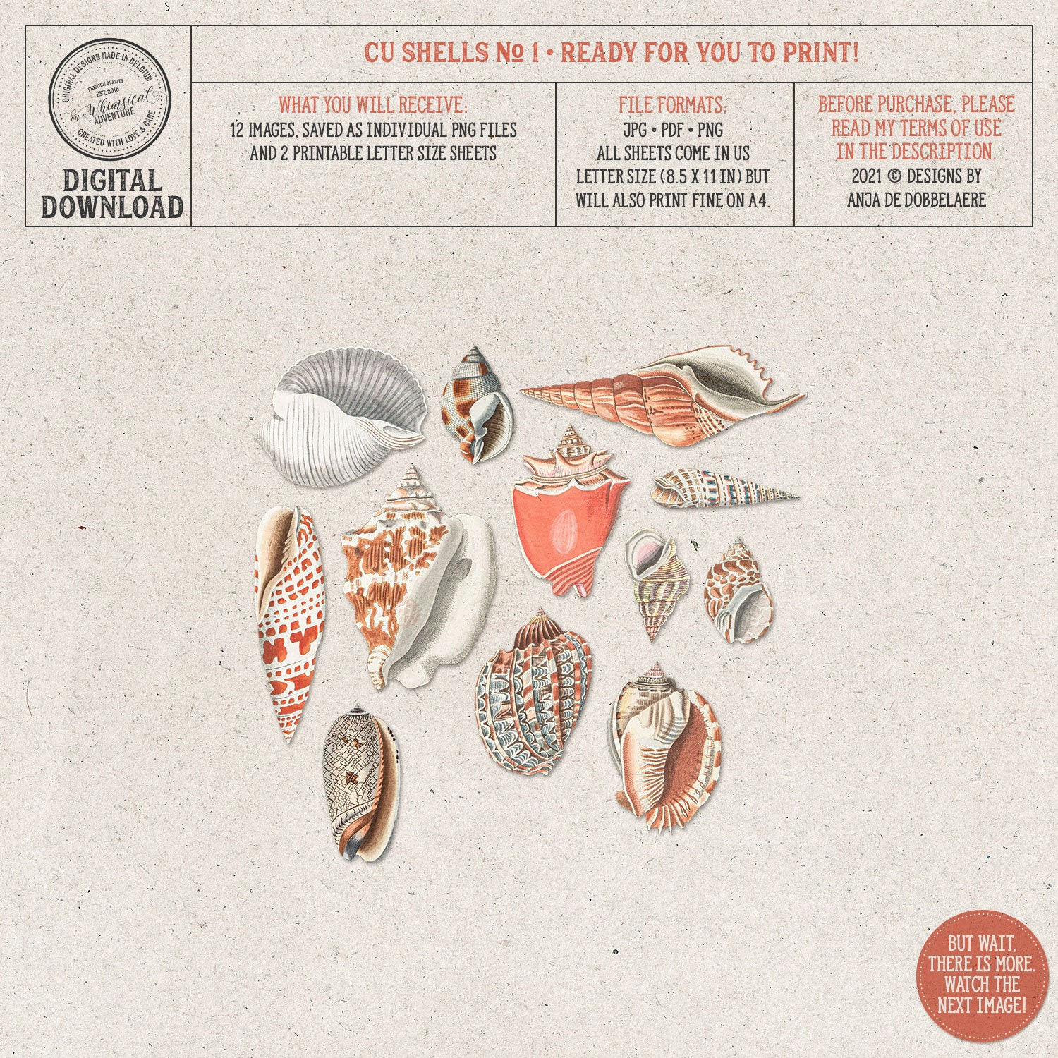 Antique Seashells Printable Vintage Shells Fussy Cut Images - Etsy