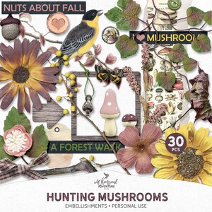 In the Woods, Autumn Clipart, Fall Themed Colors, Instant Download ...