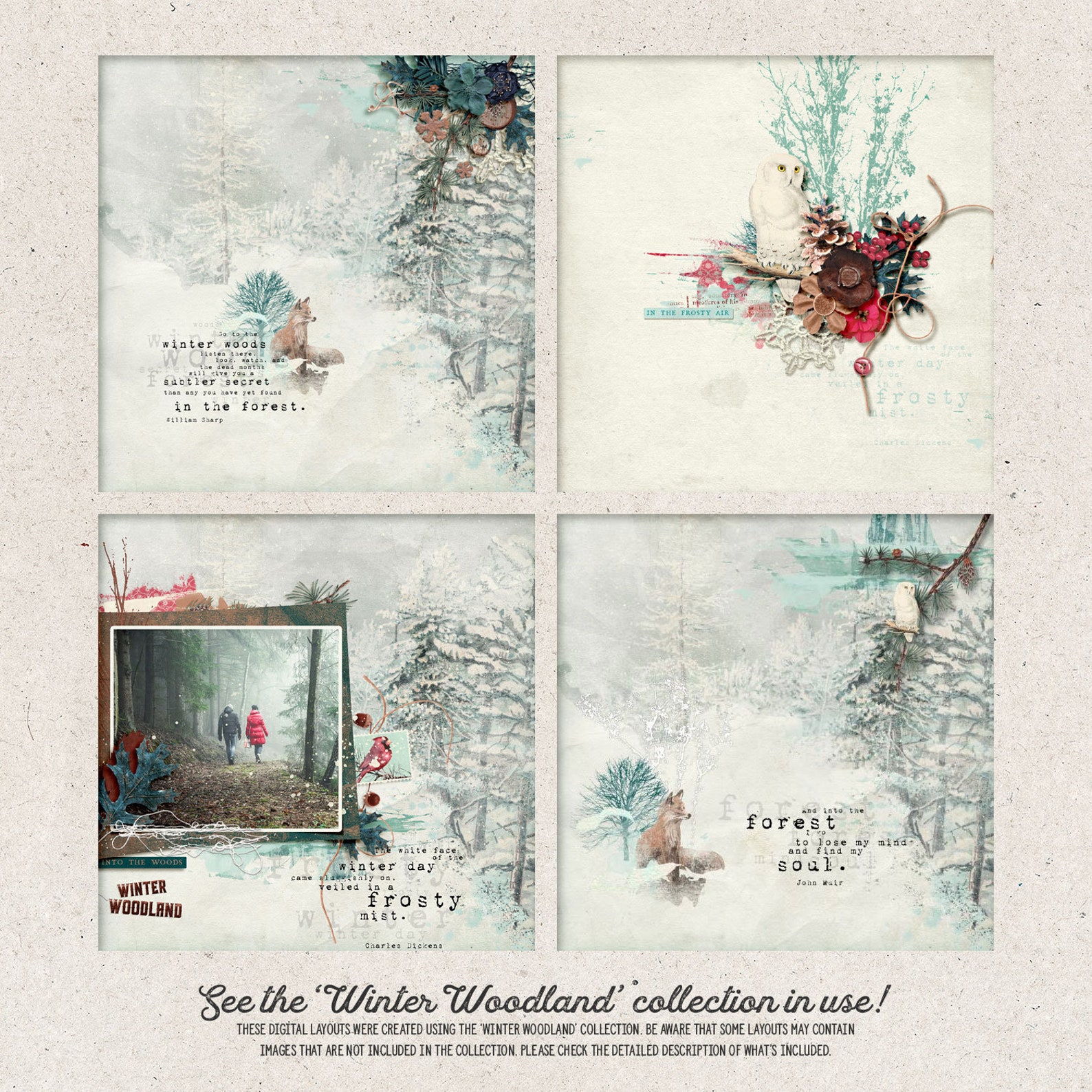 Tree Digital Stamps Photoshop Brushes Winter Trees Stamps - Etsy