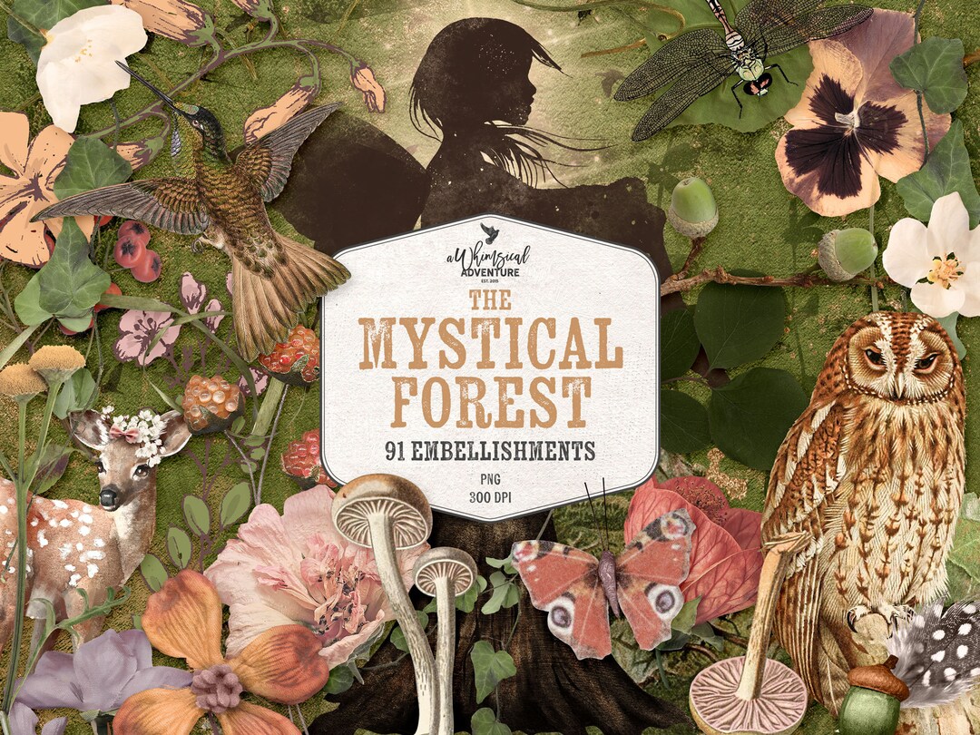 Enchanted Forest Illustrations, Woodland Creatures, Woodland Fairy ...