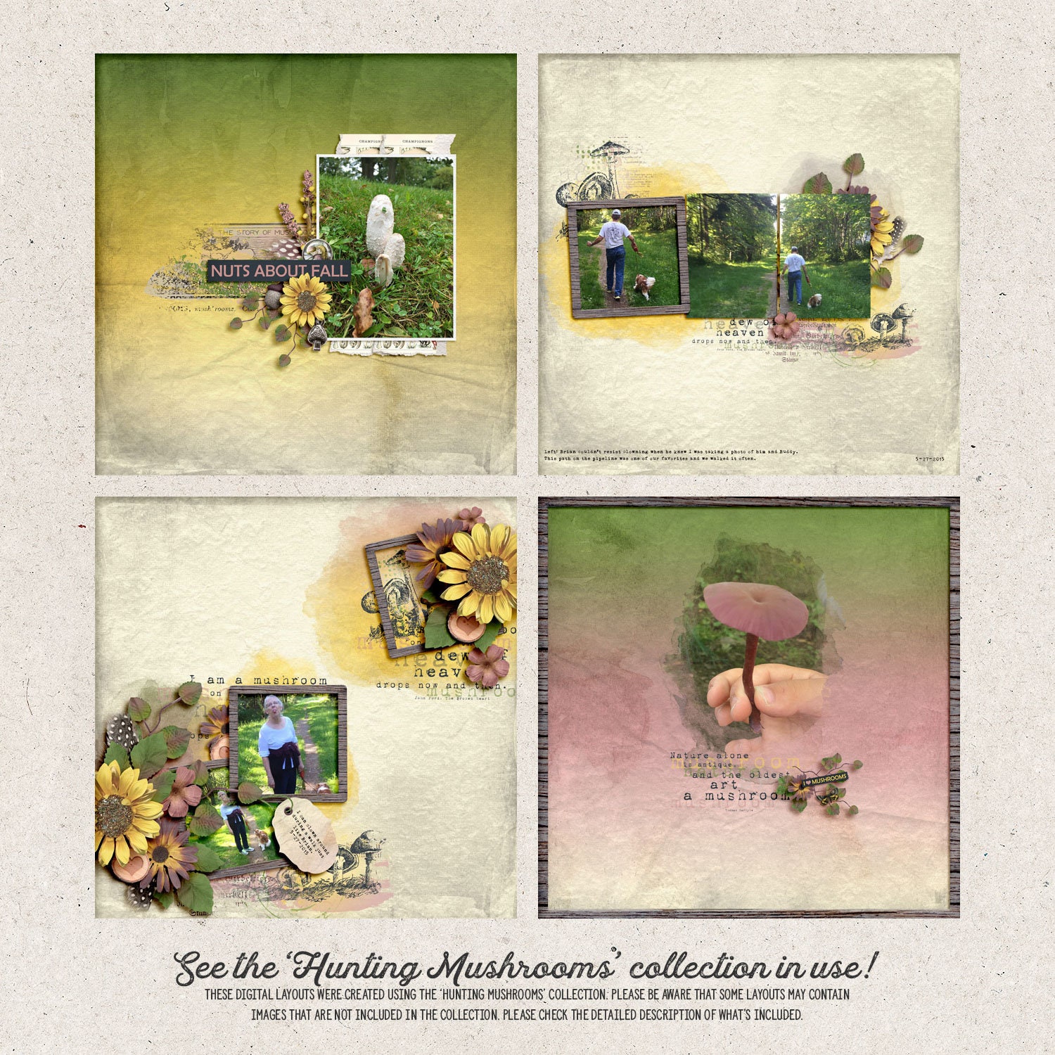 Fall Themed Colors Autumn Paper Pack in the Woods Autumn - Etsy