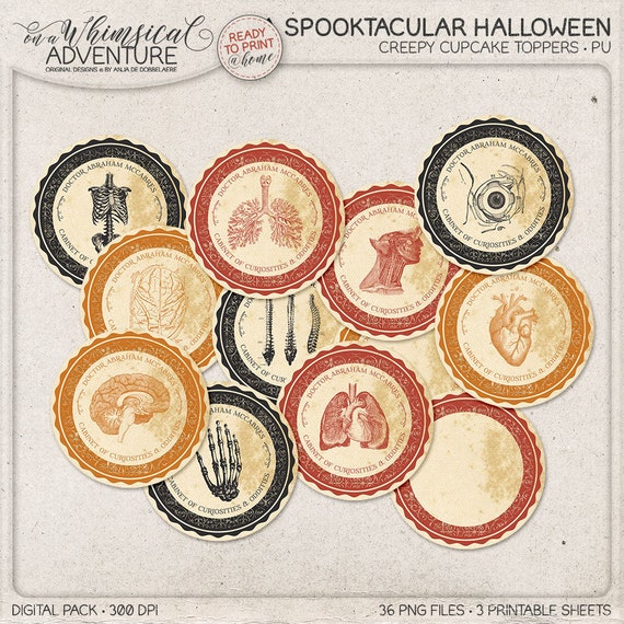 Spooky Halloween Party Decor Anatomical Cabinet Of | Etsy