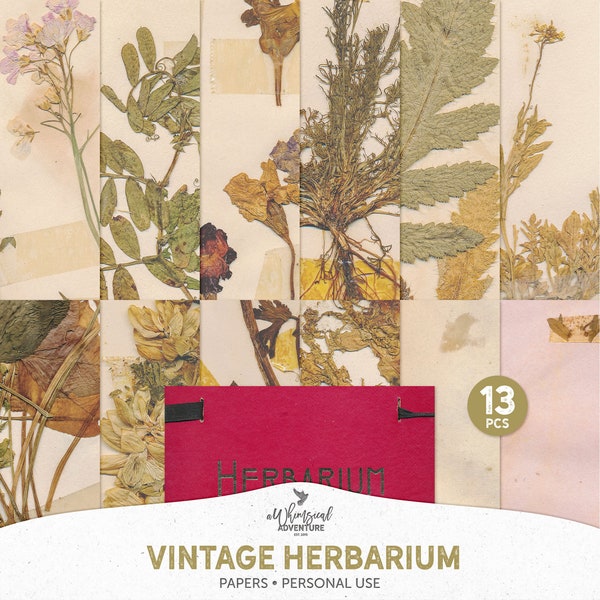 Herbarium Book - Etsy