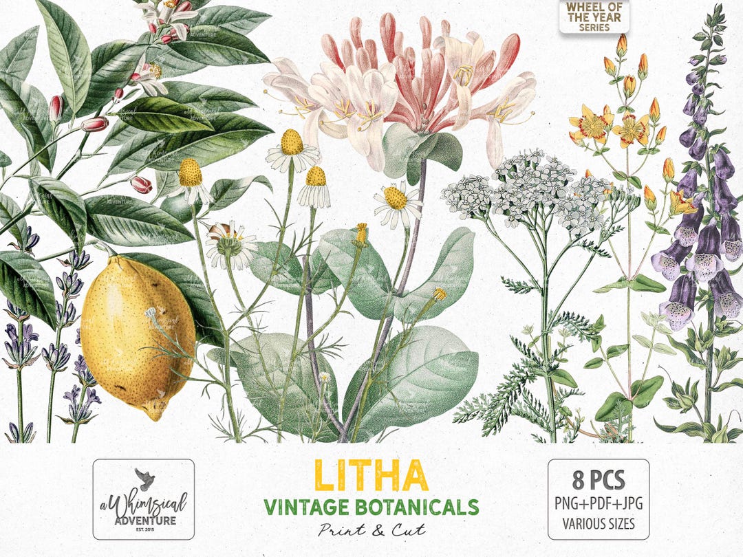 Litha Printable Vintage Flowers, Antique Botanical Illustration, Junk ...