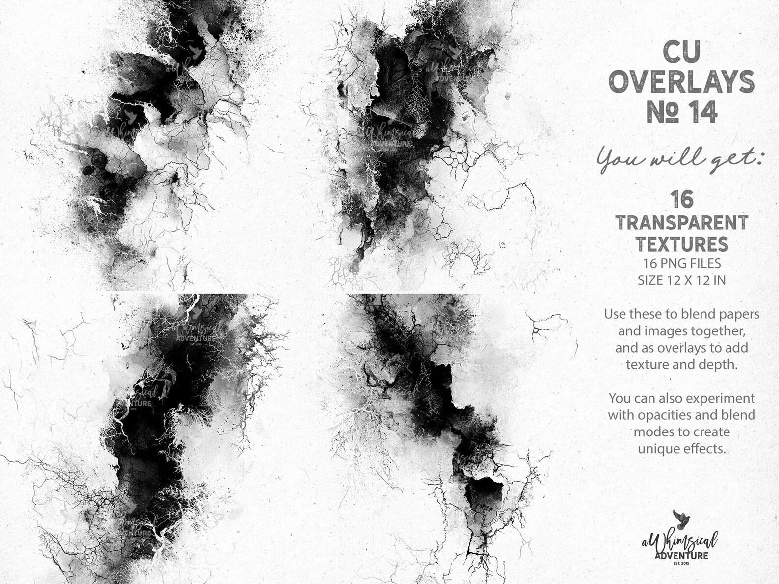 Transparent Organic Fracture Overlays PNG Files Scrapbook Designer ...