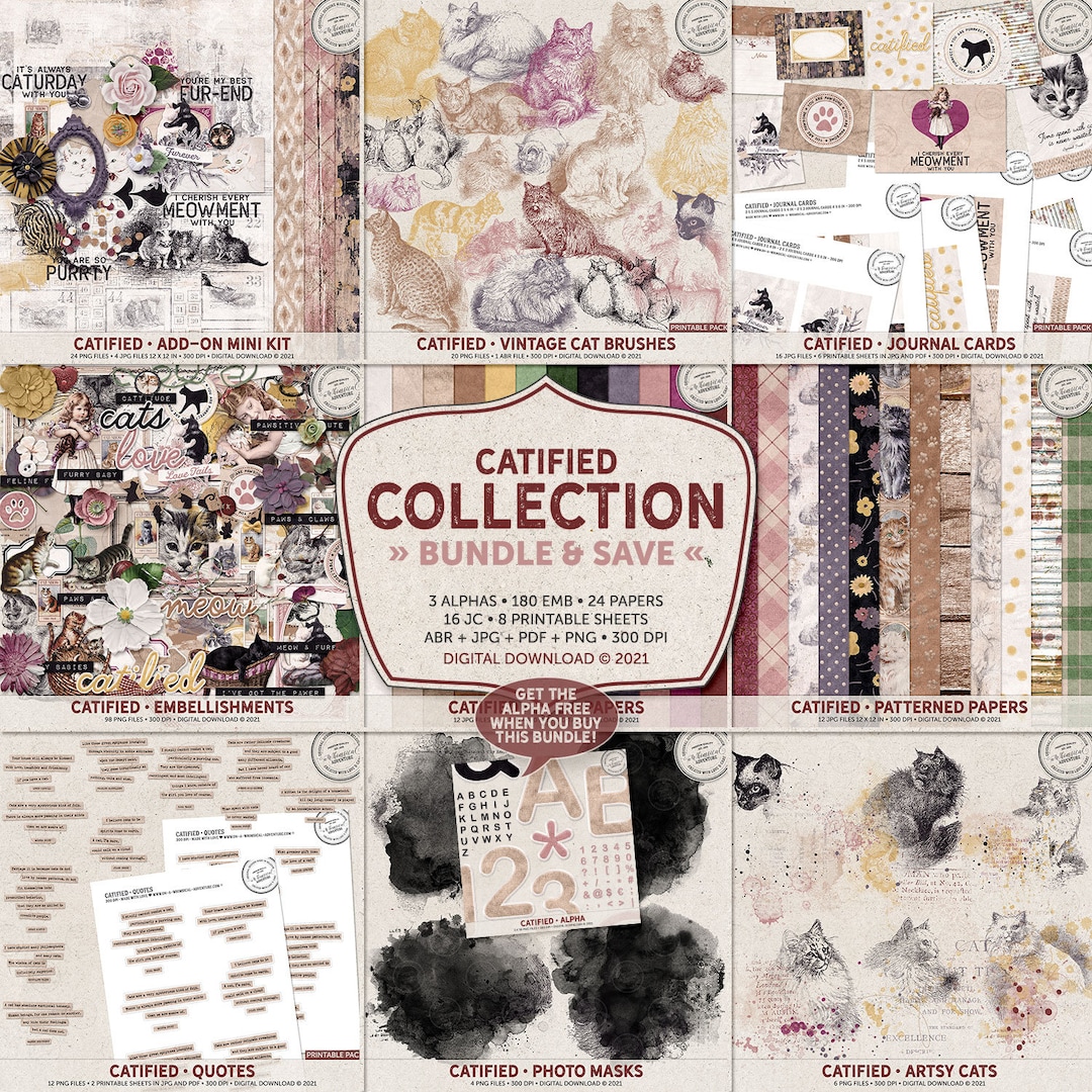 Cat Clip Art, Cat Scrapbook Bundle, Digital Download, Patterned Papers ...