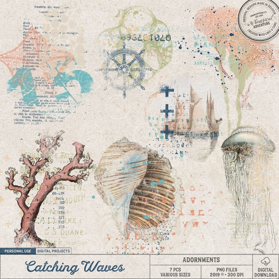 Jellyfish Under the Sea Nautical Clipart Beach Vacation | Etsy