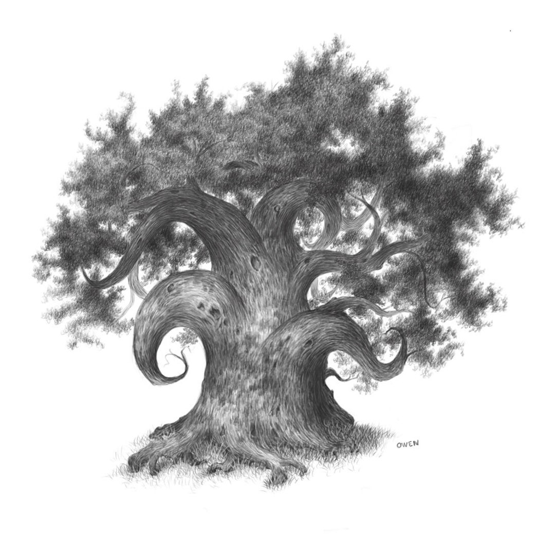 Oak Tree Digital Download Print - Etsy