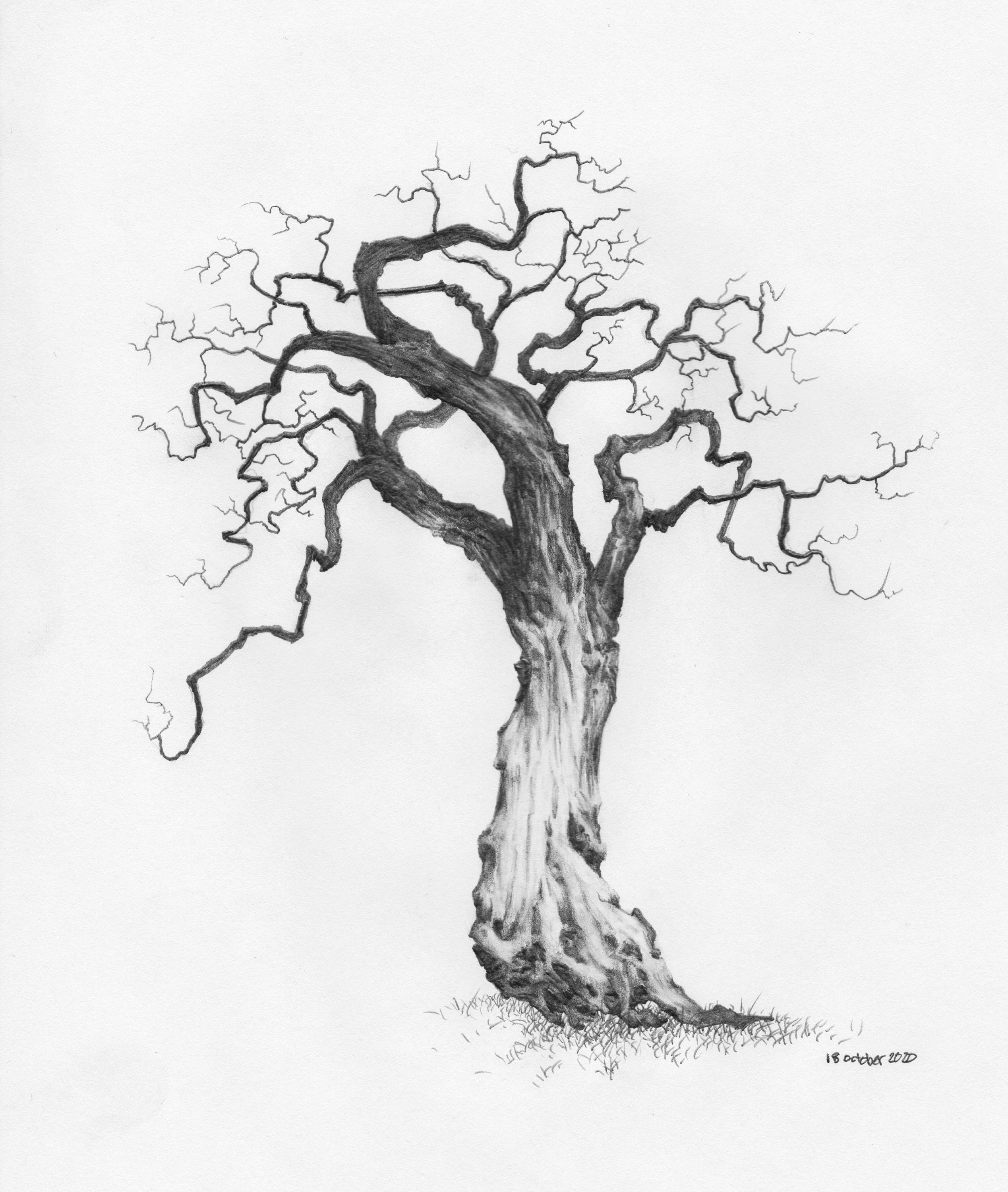 Original Pencil Sketch of Tree Part of a Large Art Series, Tree Drawing ...