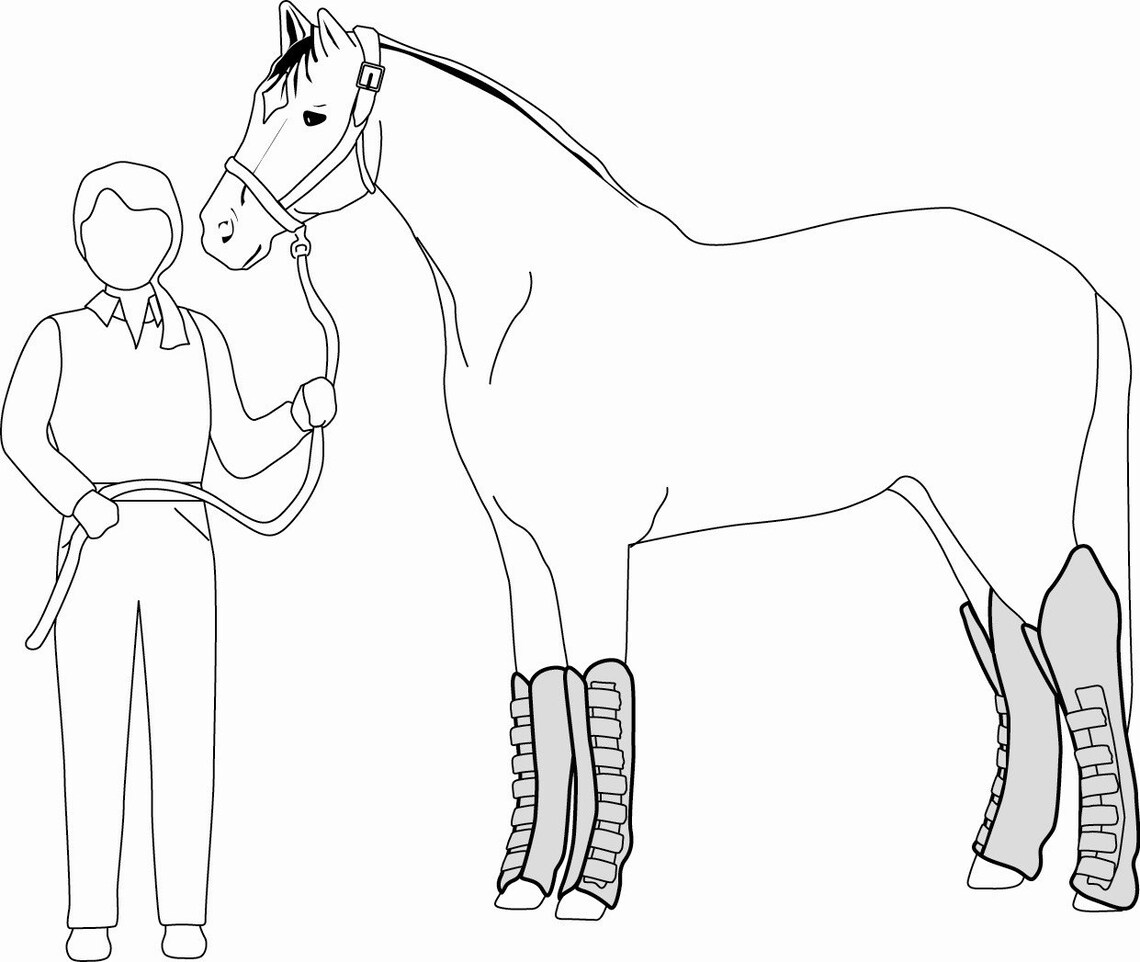 PDF Horse Tall Shipping Boots Pattern - Etsy