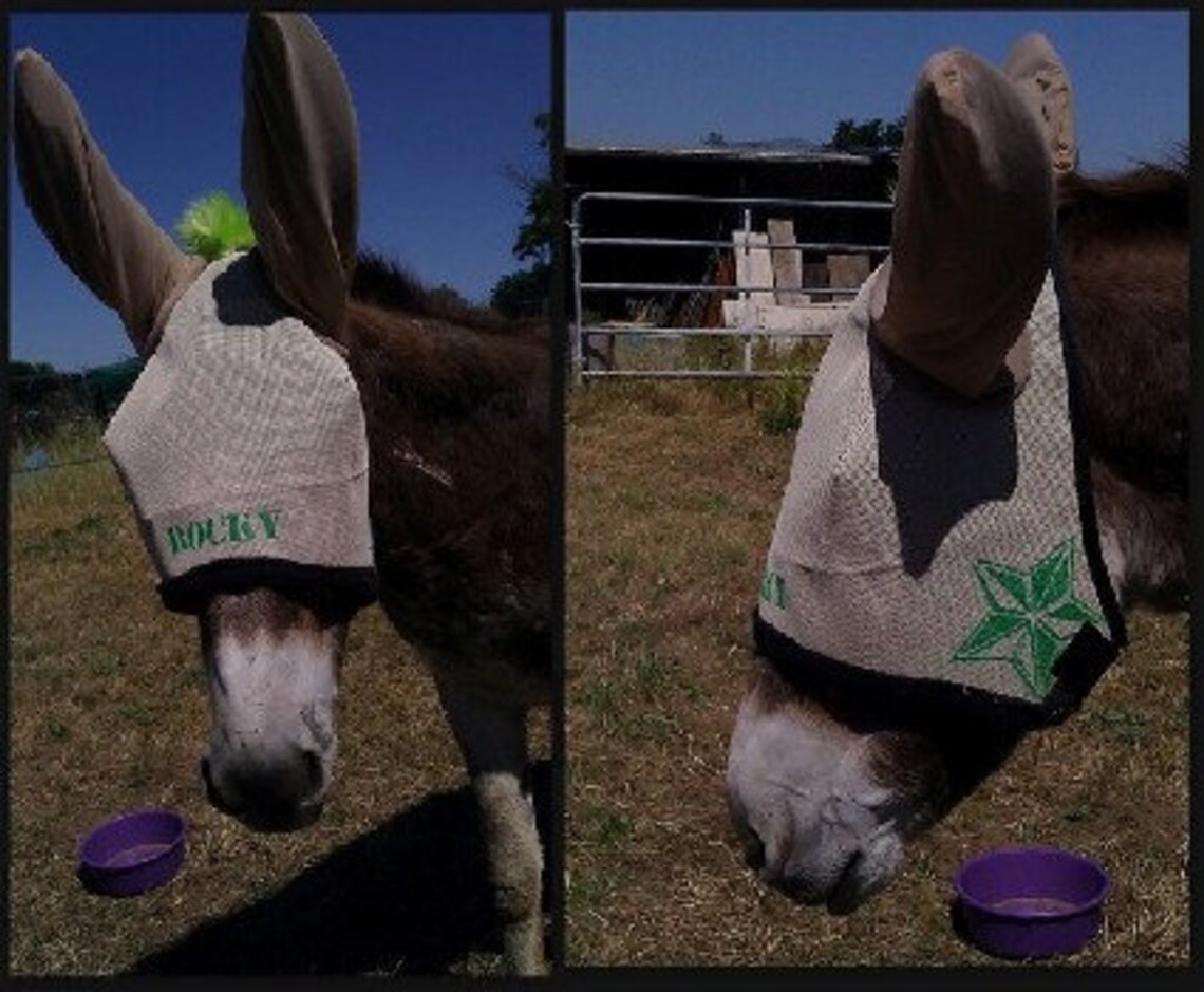 PDF Fly Mask With Ears Pattern - Etsy
