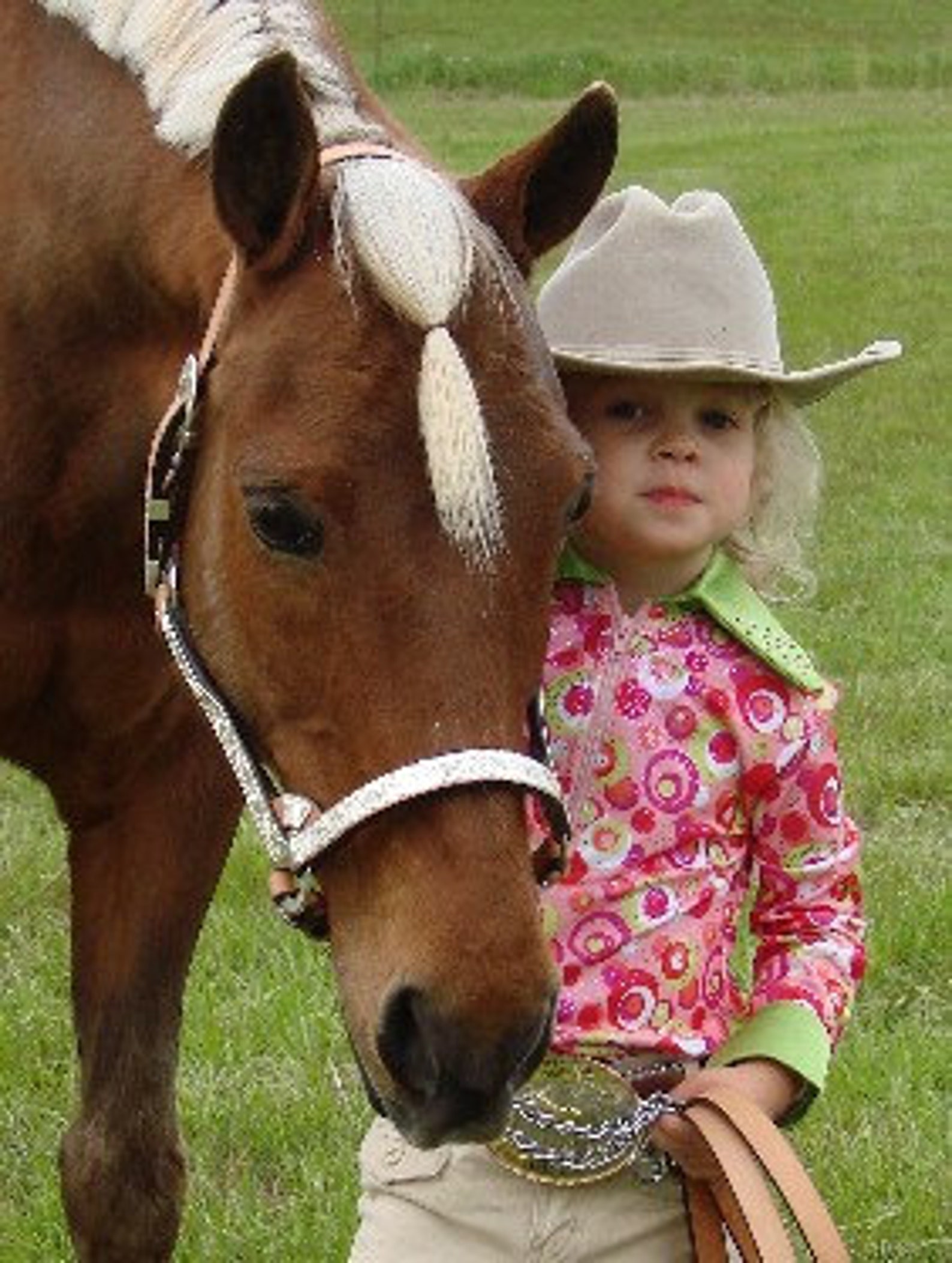 PDF Girl's Western Stretch Show Shirt Pattern- No Cuffs - Etsy