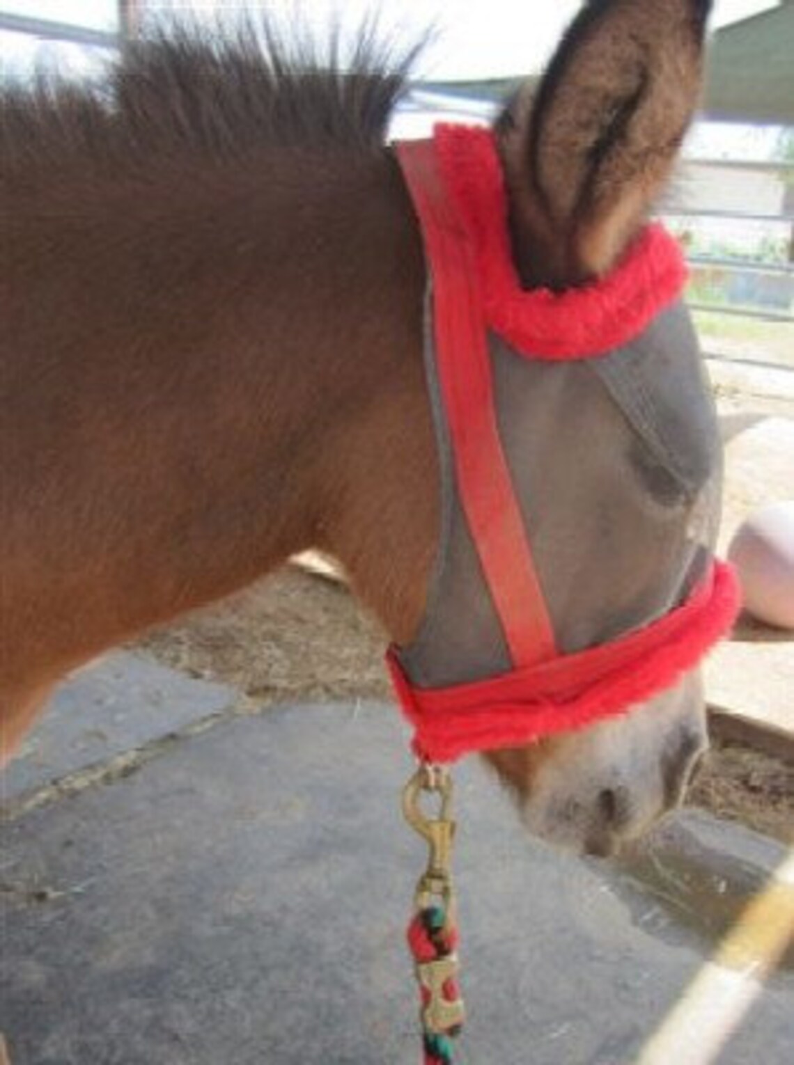 PDF No Ears Fly Mask Pattern - Etsy