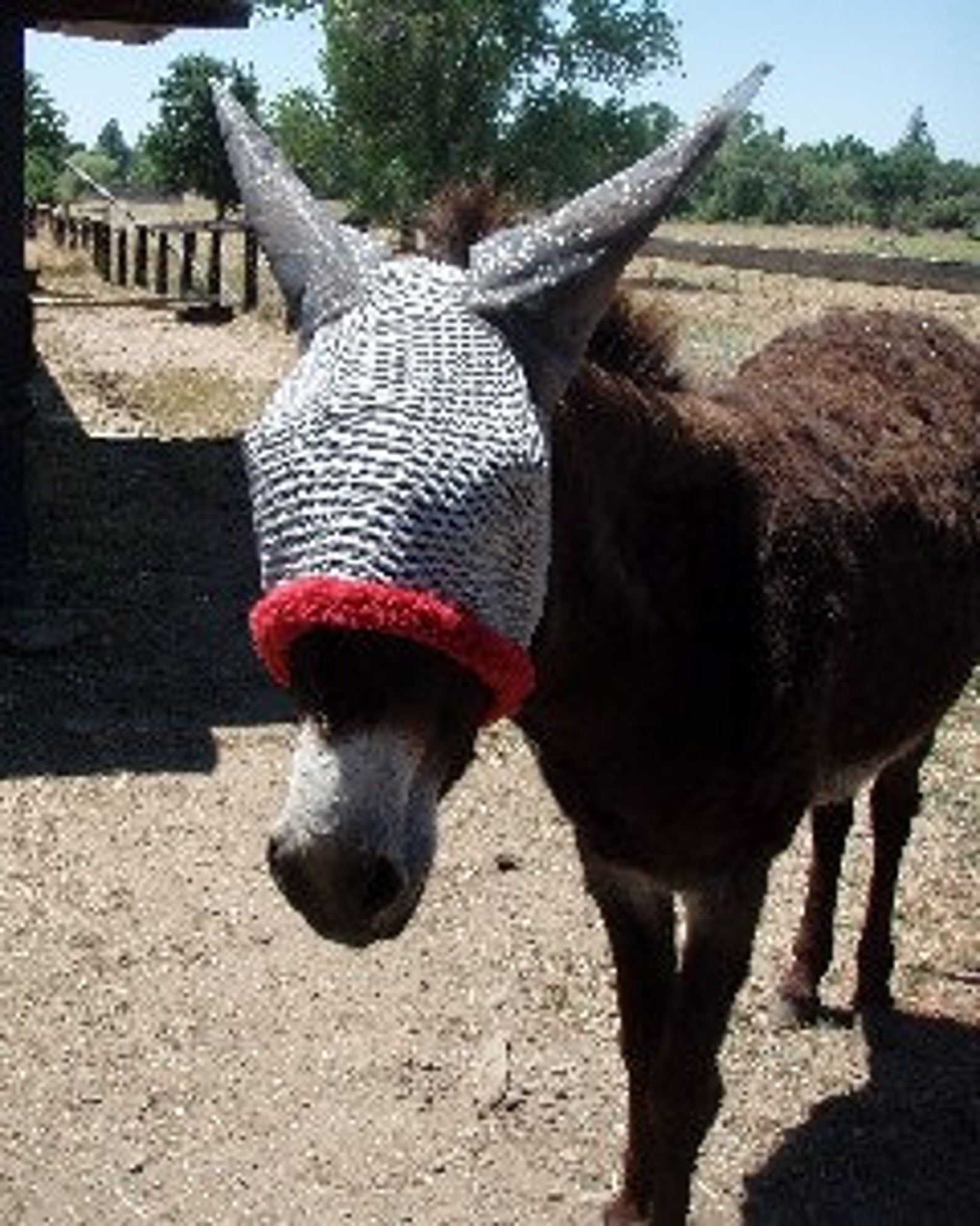 PDF Fly Mask With Ears Pattern - Etsy