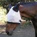 PDF Fly Mask With Ears Pattern - Etsy