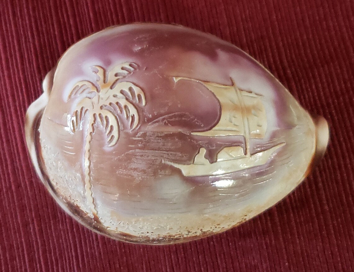 Vintage Tropical Etching Cowrie Sea Shell Featuring A Shore - Etsy