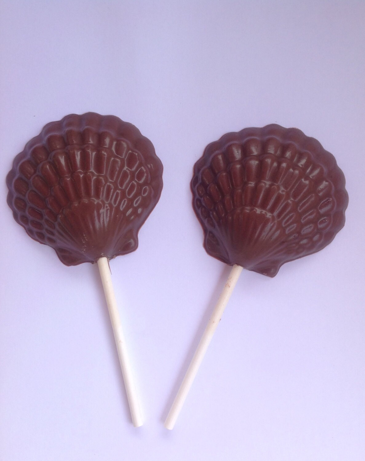 12 Clam Shell Chocolate pops clam lollipop clam shell favors | Etsy