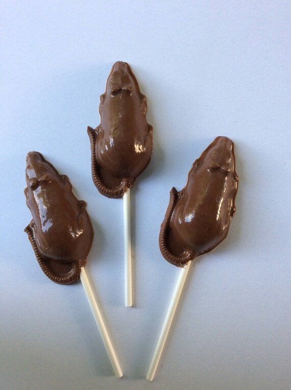 12 Chocolate Rat pops chocolate mouse chocolate rat favors | Etsy