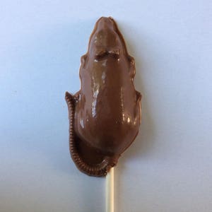 12 Chocolate Rat Pops Chocolate Mouse Chocolate Rat Favors Chocolate ...