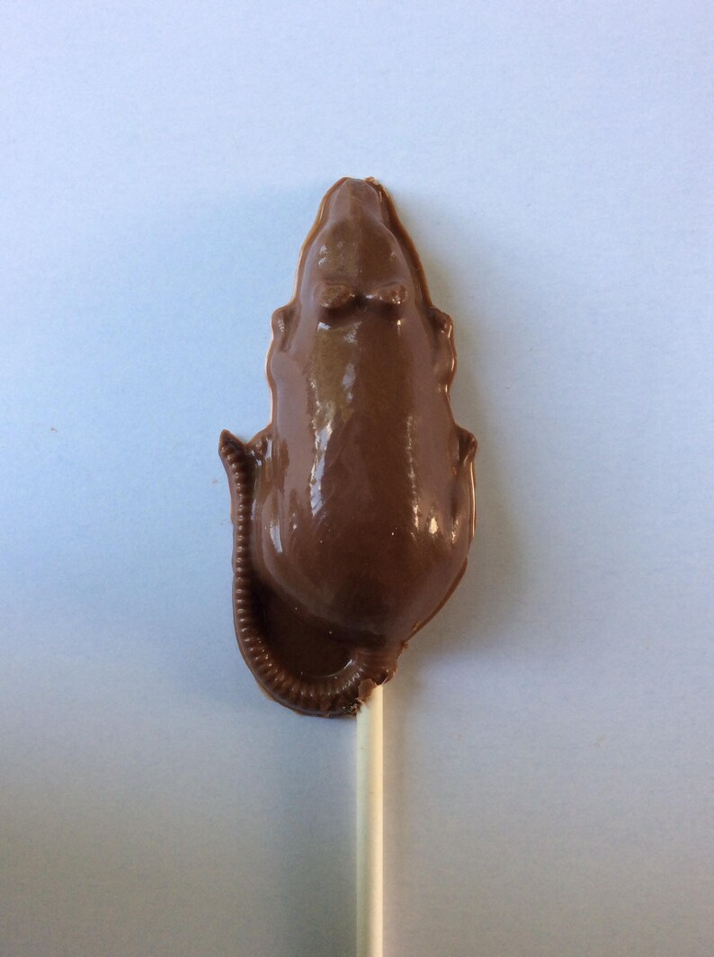 12 Chocolate Rat Pops Chocolate Mouse Chocolate Rat Favors - Etsy