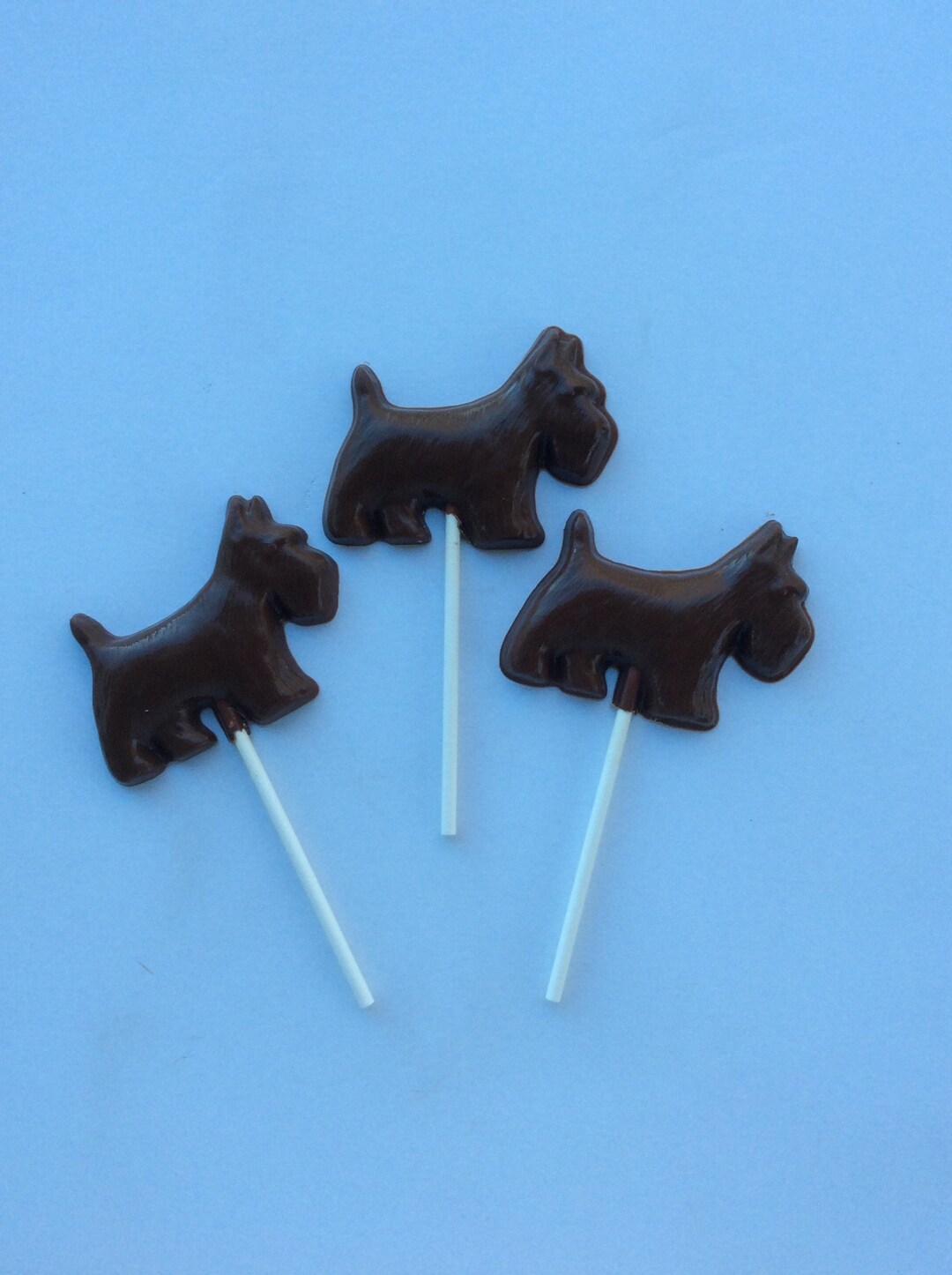 12 Chocolate Schnauzer Pops Chocolate Schnauzer Favors Chocolate ...