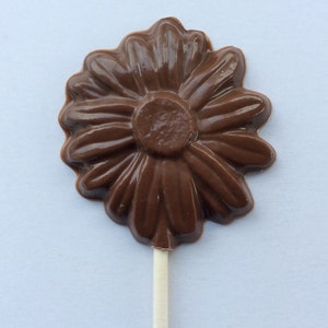 12 Daisy Chocolate Pops Chocolate Daisy Favors Chocolate Daisy Lollipop ...