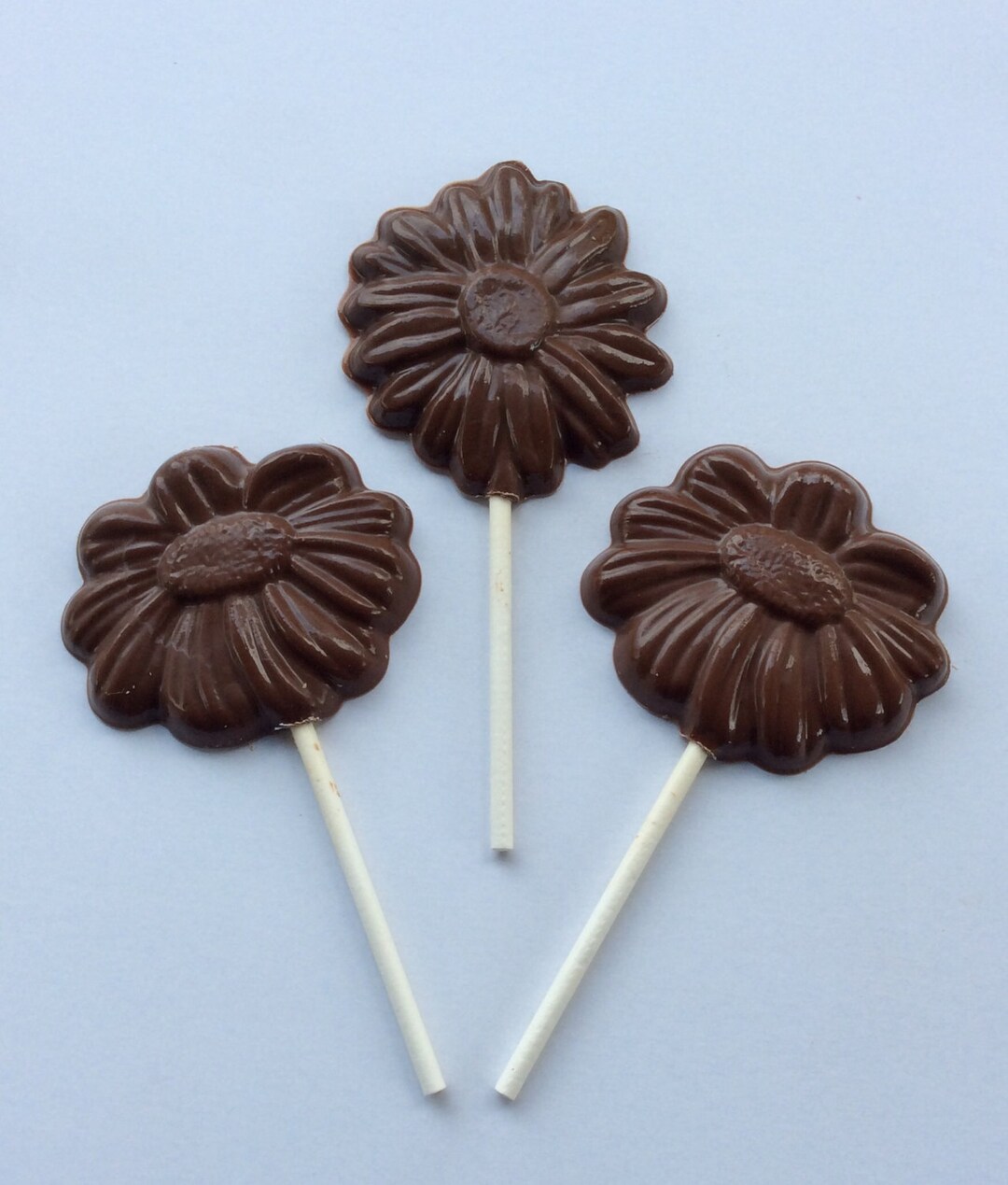 12 Daisy Chocolate Pops Chocolate Daisy Favors Chocolate Daisy Lollipop ...