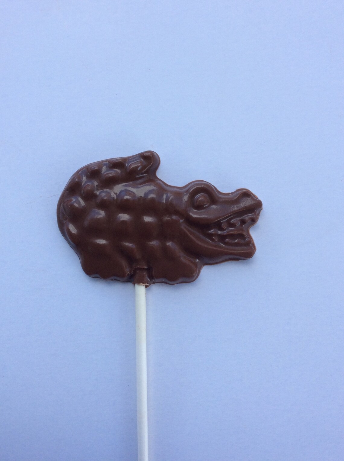 12 Chocolate Alligator Pops Alligator Candy Chocolate | Etsy