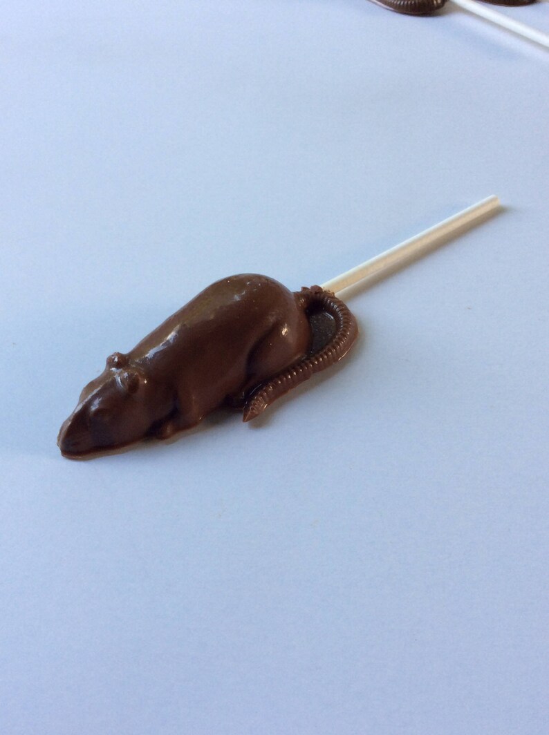 12 Chocolate Rat Pops Chocolate Mouse Chocolate Rat Favors - Etsy
