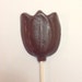 12 Tulip Chocolate Pops Chocolate Tulip Favors Chocolate Tulip Lollipop ...