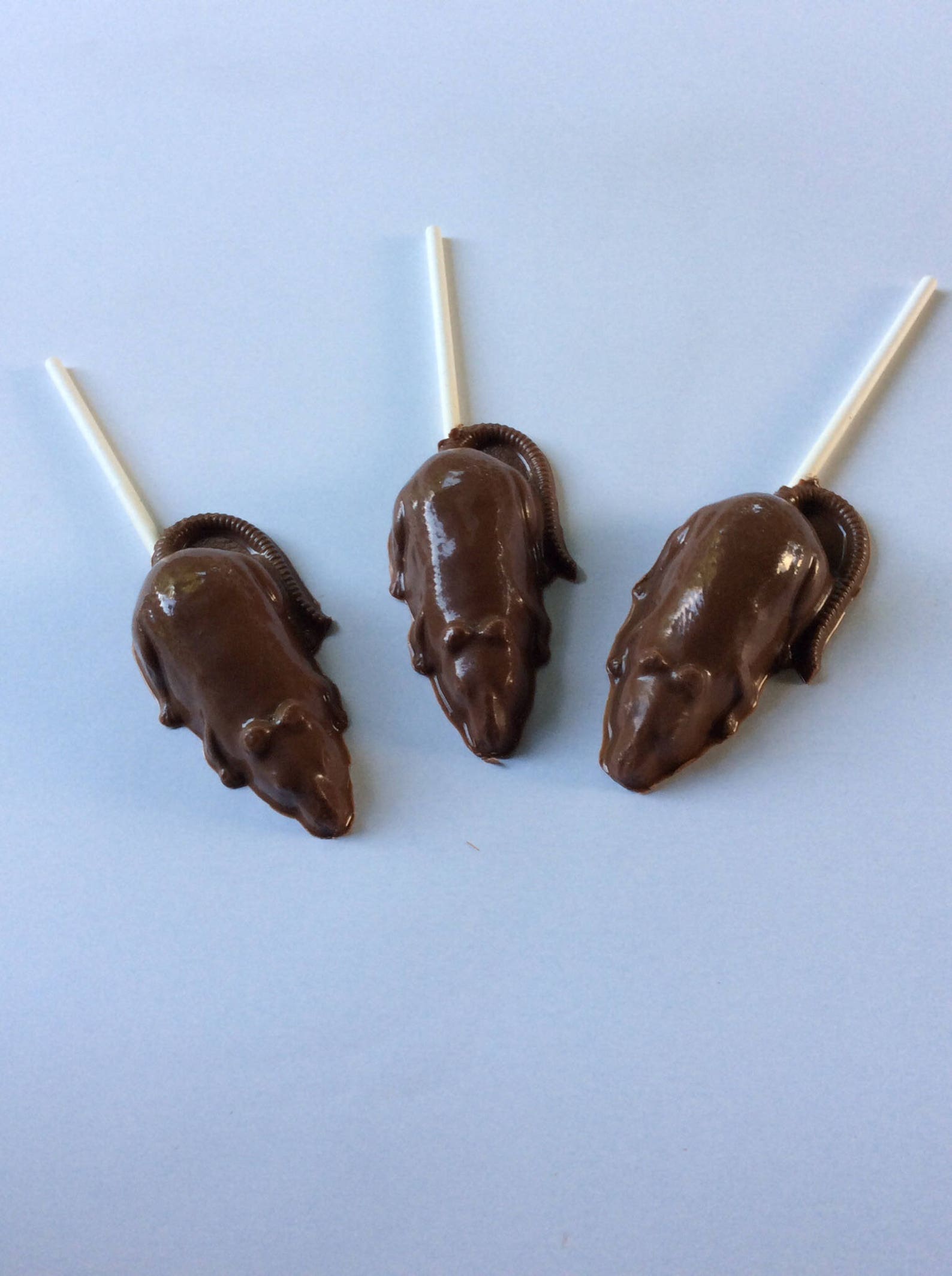 12 Chocolate Rat Pops Chocolate Mouse Chocolate Rat Favors - Etsy