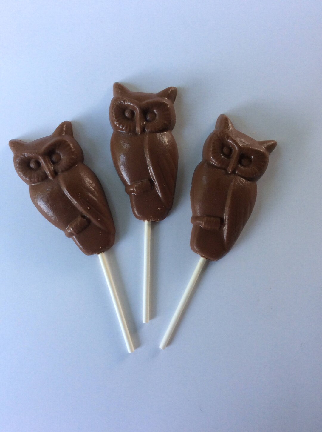 12 Chocolate Owl Pops Chocolate Owl Favors Chocolate Owl Lollipop - Etsy