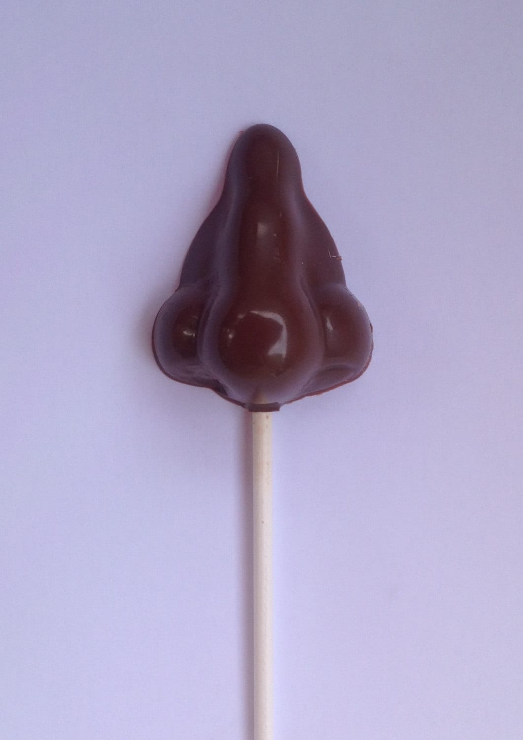 12 Chocolate Nose Pops Nose Favors Chocolate Nose Lollipop - Etsy Denmark